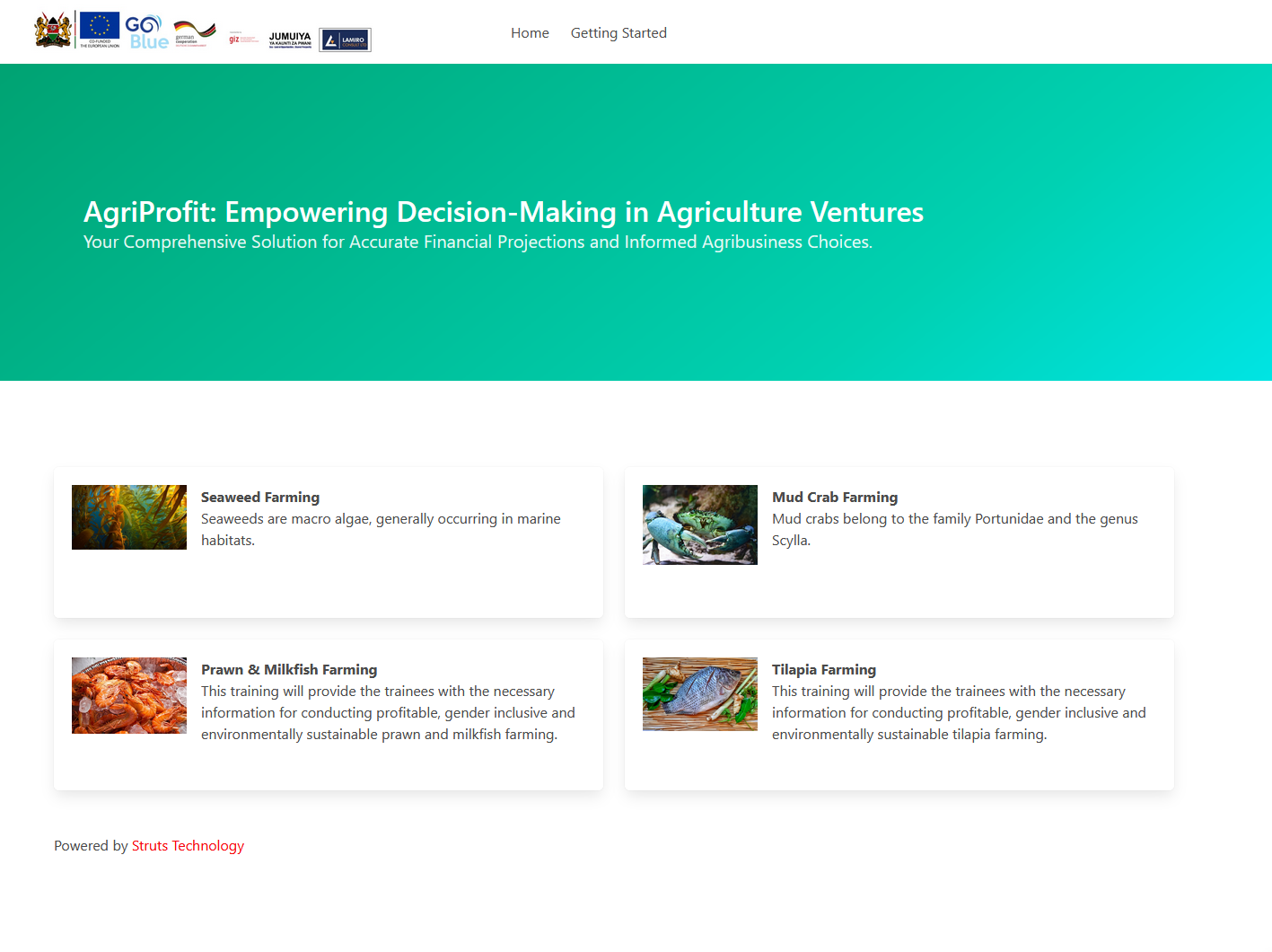 Struts Technology - Custom Made Software