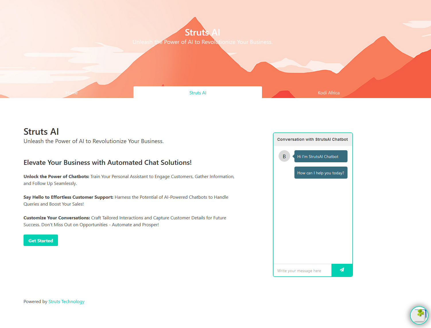 Struts Technology - Custom Made Software